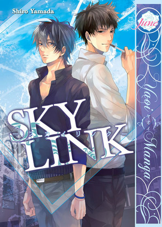 Sky Link by Shiro Yamada | Goodreads