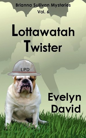 Lottawatah Twister (Brianna Sullivan Mysteries, #6) by Evelyn David | Goodreads