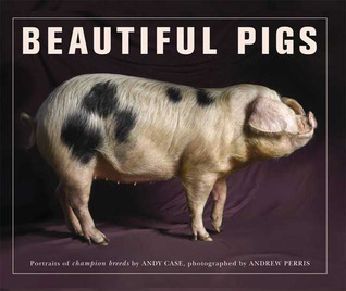 Beautiful Pigs: Portraits of Champion Breeds by Andy Case | Goodreads