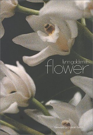 Flower by Lynn Goldsmith | Goodreads