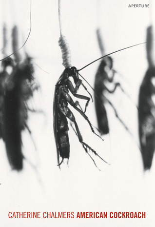 Catherine Chalmers: American Cockroach by Steve Baker | Goodreads