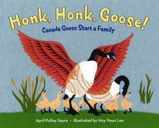 Honk, Honk, Goose!: Canada Geese Start a Family by April Pulley Sayre ...