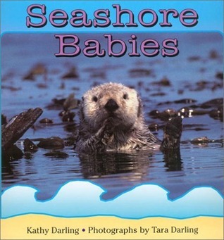 Seashore Babies by Kathy Darling | Goodreads