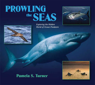 Prowling the Seas: Exploring the Hidden World of Ocean Predators by ...