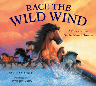 Race the Wild Wind: A Story of the Sable Island Horses by Sandra Markle ...