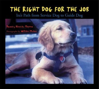 The Right Dog for the Job: Ira's Path from Service Dog to Guide Dog by ...