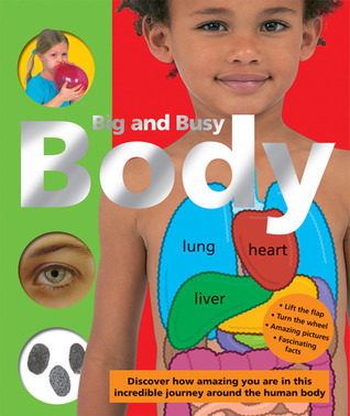 Big and Busy Body (casebound) by Roger Priddy | Goodreads