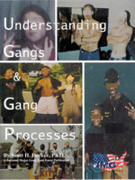 Understanding Gangs and Gang Processes by Scott H. Decker | Goodreads