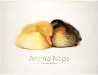 Animal Naps by Catherine Ham | Goodreads