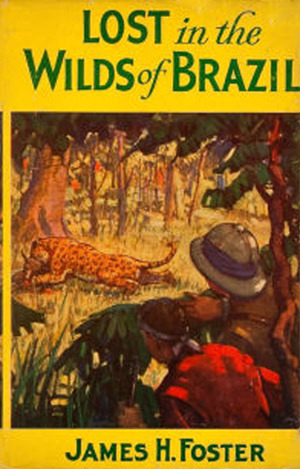 Lost in the Wilds of Brazil by James H. Foster | Goodreads