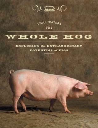 The Whole Hog: Exploring the Extraordinary Potential of Pigs by Lyall ...