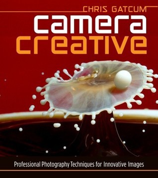 Camera Creative: Professional Photography Techniques for Innovative ...