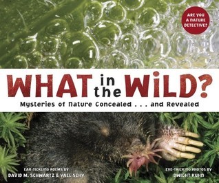 What in the Wild?: Mysteries of Nature Concealed . . . and Revealed by ...