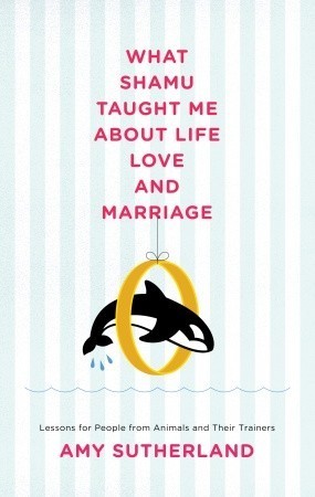 What Shamu Taught Me About Life, Love, and Marriage: Lessons for People ...