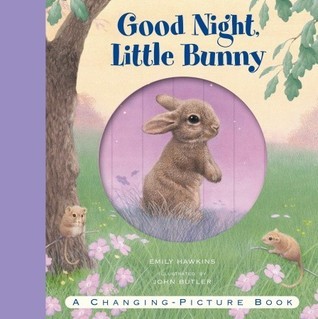 Good Night, Little Bunny: A Changing-Picture Book by Emily Hawkins ...