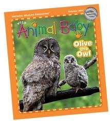 Wild Animal Baby: Olive the Owl by National Wildlife Federation | Goodreads