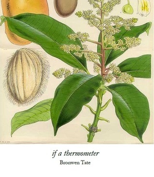 if a thermometer by Bronwen Tate | Goodreads