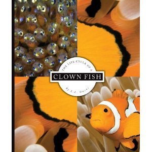 The Life Cycle of a Clown Fish by L.L. Owens | Goodreads