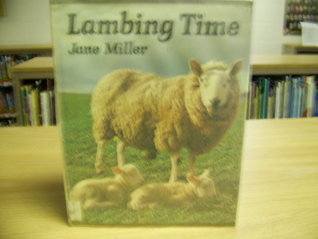 Lambing time by Jane Miller | Goodreads