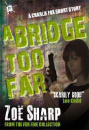 A Bridge Too Far: from the FOX FIVE Charlie Fox short story collection ...