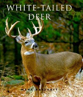 White-Tailed Deer by Mark Raycroft | Goodreads