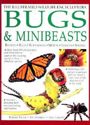 Bugs and Minibeasts by Barbara Taylor | Goodreads