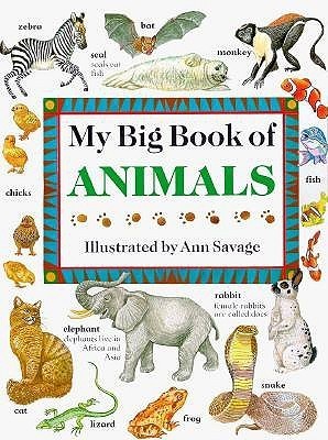 My Big Book of Animals (My Big Book of by Jenny Vaughan | Goodreads
