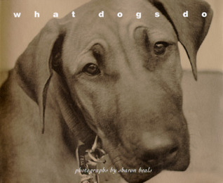 What Dogs Do by Sharon Beals | Goodreads