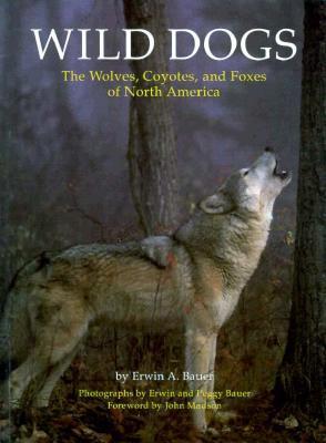 Wild Dogs: The Wolves, Coyotes, and Foxes of North America by Erwin A ...