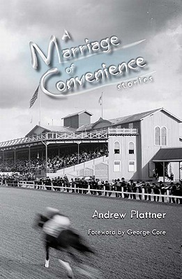 A Marriage of Convenience: stories by Andrew Plattner | Goodreads