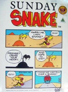 Sunday Snake by Allan Salisbury | Goodreads