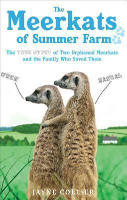 The Meerkats Of Summer Farm: The True Story of Two Orphaned Meerkats ...