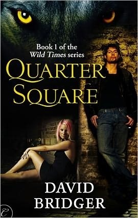 Quarter Square (Wild Times, #1) by David Bridger | Goodreads