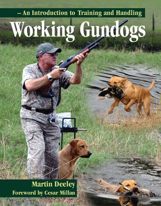 Working Gundogs: An Introduction to Training and Handling by Martin ...