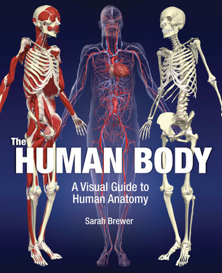 The Human Body: A Visual Guide to Human Anatomy by Sarah Brewer | Goodreads