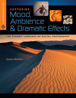 Capturing Mood, Ambience & Dramatic Effects: The Dynamic Language of ...