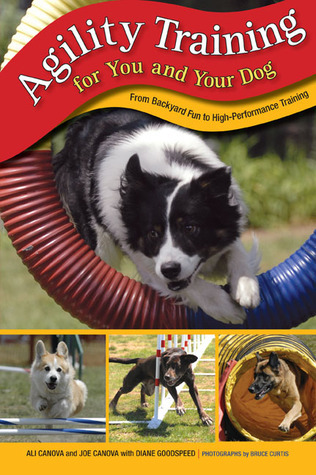 Agility Training for You and Your Dog: From Backyard Fun To High ...