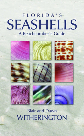 Florida's Seashells: A Beachcomber's Guide by Blair E. Witherington ...