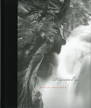 Pilgrim Eye by David Halpern | Goodreads