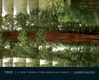 Tree: A New Vision of the American Forest by Jim Balog | Goodreads