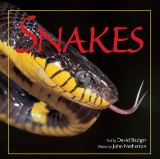 Snakes by David Badger | Goodreads