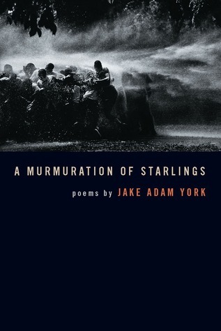 A Murmuration of Starlings by Jake Adam York | Goodreads