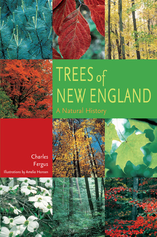 Trees Of New England: A Natural History by Charles Fergus | Goodreads