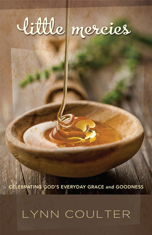 Little Mercies: Celebrating God's Everyday Grace and Goodness by Lynn ...