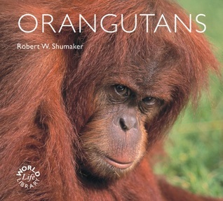 Orangutans (Worldlife Library) by Robert W. Shumaker | Goodreads