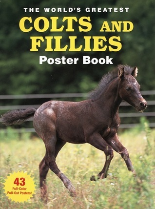 The World's Greatest Colts and Fillies Poster Book by Samantha Johnson ...