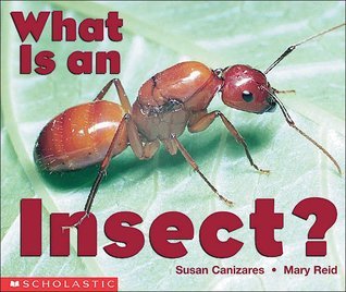 What Is An Insect? (Emergent Readers) by Susan Cañizares | Goodreads