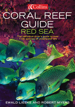 Coral Reef Guide Red Sea: The complete Red Sea marine life guide for ...
