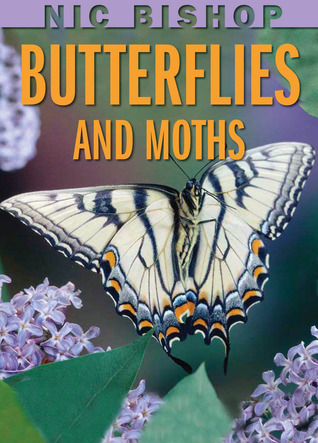 Butterflies And Moths by Nic Bishop | Goodreads