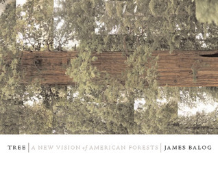 Tree: A New Vision of the American Forest by Jim Balog | Goodreads